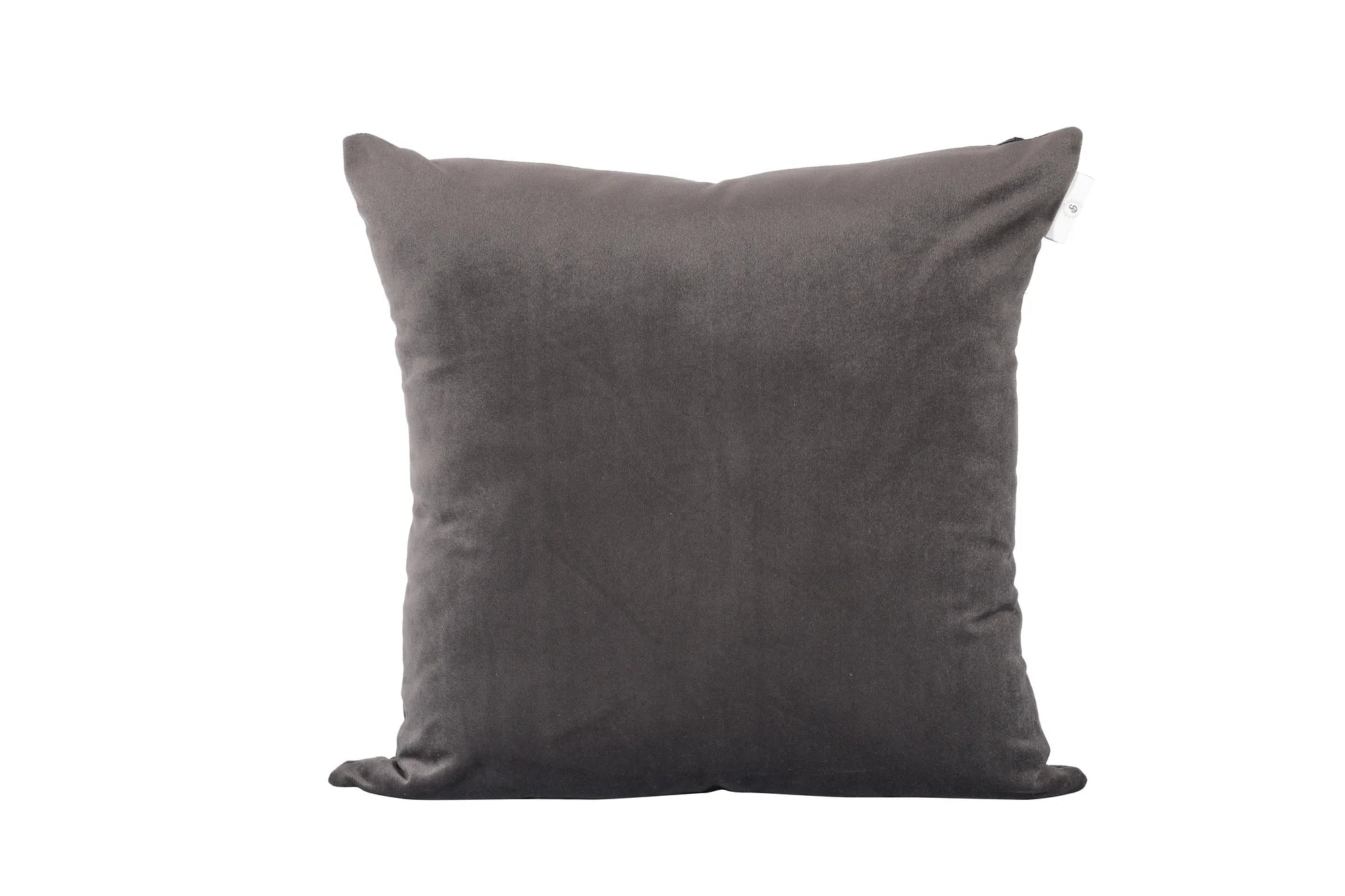 Crosscheck Dsign – Purple Patch Studio